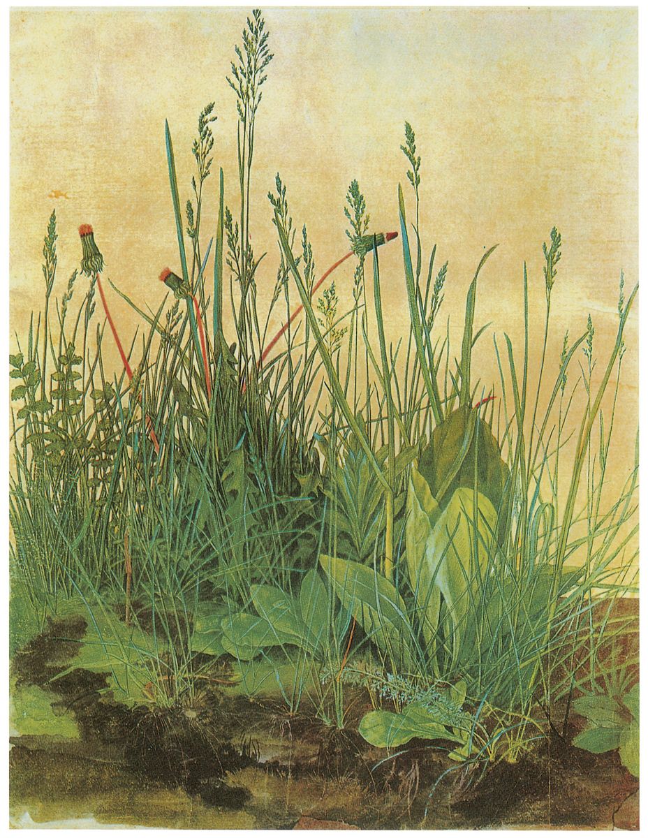 0196_装饰画图集TIF格式_装饰画超高清大图原图扫描真迹全图书画图片下载